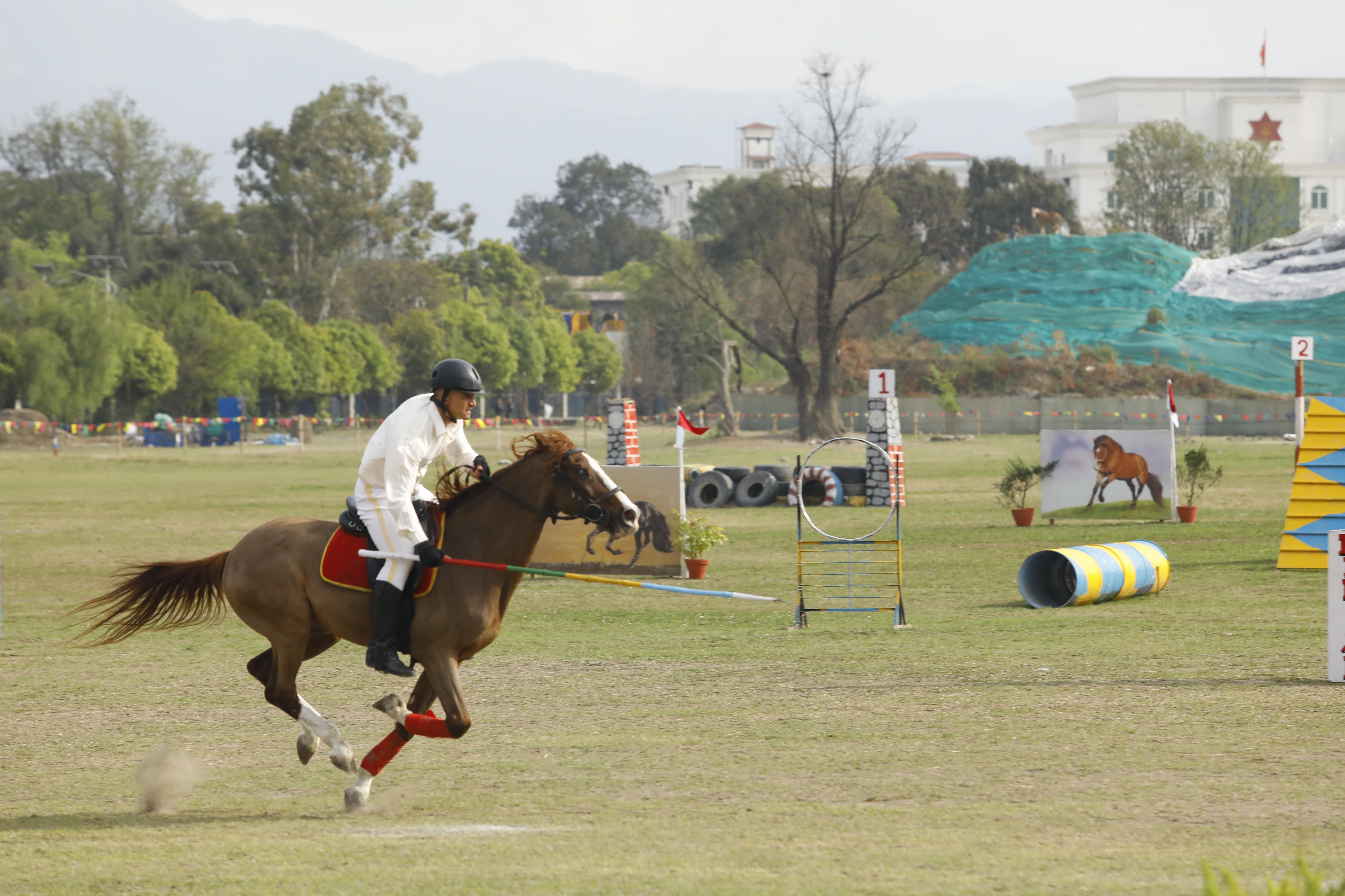 घोडेजात्रा : पर्व कि रवाफ ? :: सुनिता लोहनी :: News Griha :: न्यूजगृह